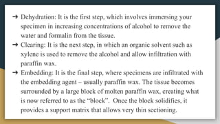 Tissue preparation process, embedding and block preparation in research ...