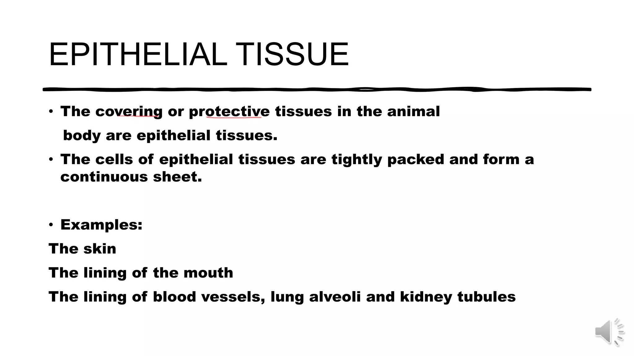 Animal Tissue | PPTX