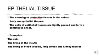 Animal Tissue | PPT
