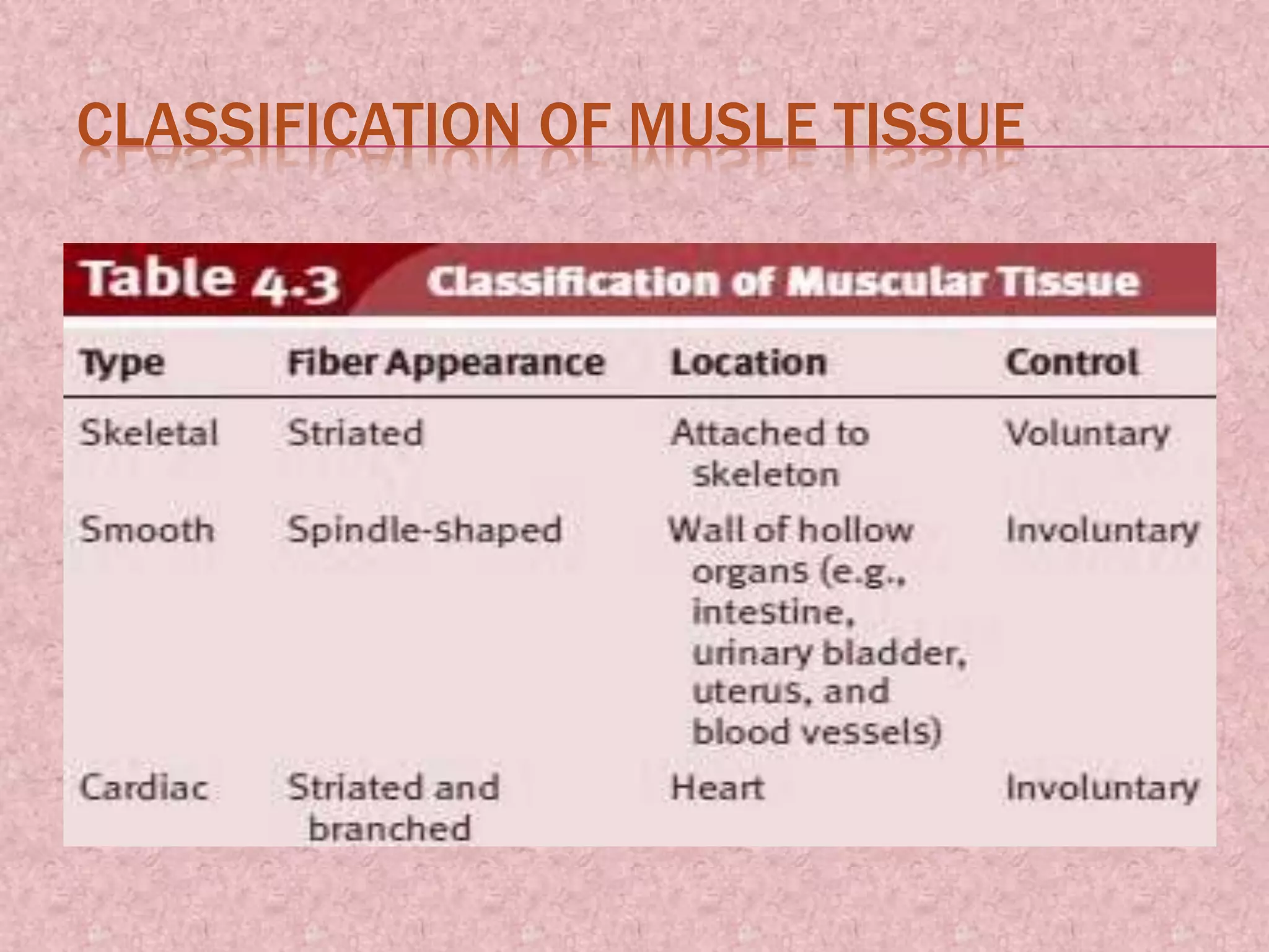 Tissue presentation (asif) | PPT