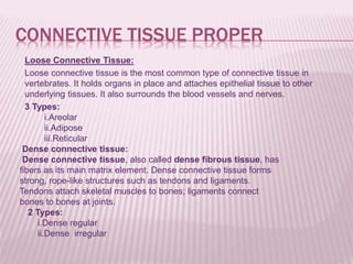 Tissue presentation (asif) | PPT