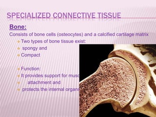 Tissue presentation (asif) | PPT