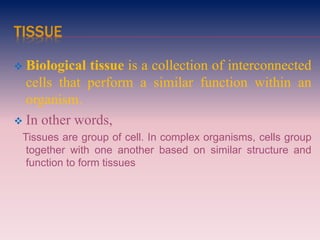 Tissue presentation (asif) | PPT