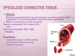 Tissue presentation (asif) | PPT