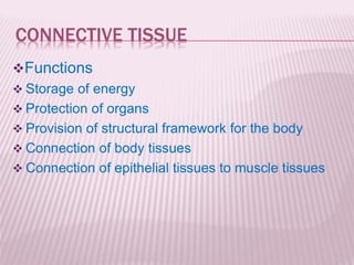 Tissue presentation (asif) | PPT