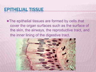Tissue presentation (asif) | PPT