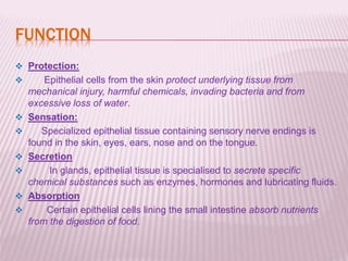 Tissue presentation (asif) | PPT