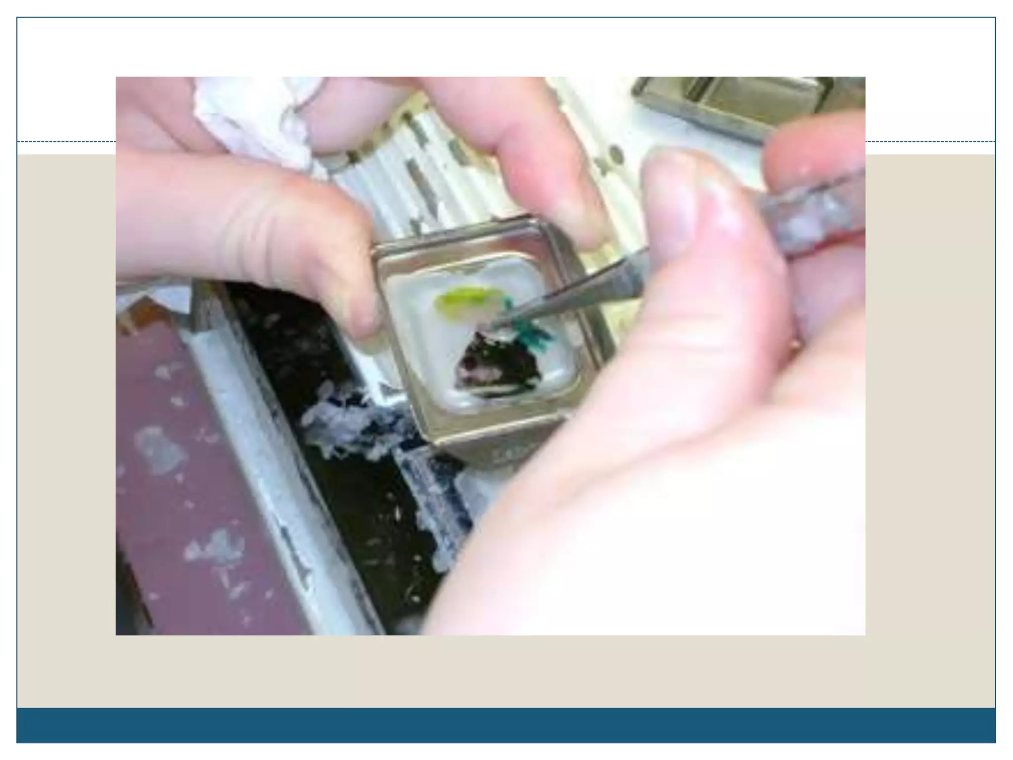 Tissue processing | PPTX