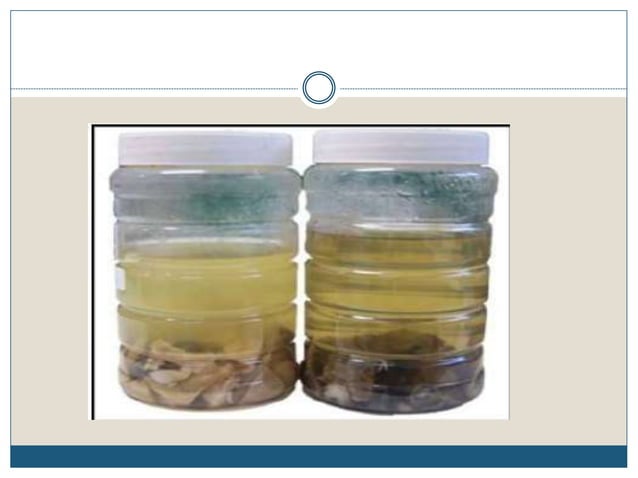 Tissue processing | PPTX