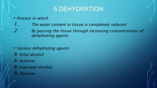 Tissue processing | PPTX