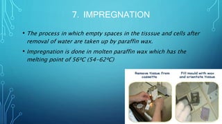 Tissue processing | PPTX