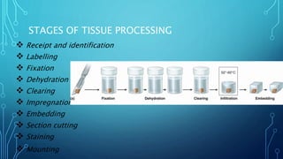 Tissue processing | PPTX