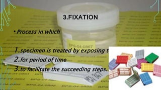 Tissue processing | PPTX