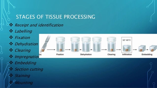 Tissue processing
