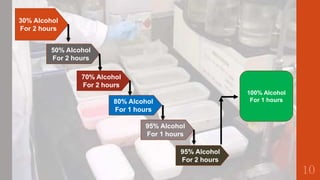 Tissue processing | PPTX