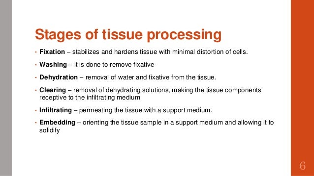 Tissue processing