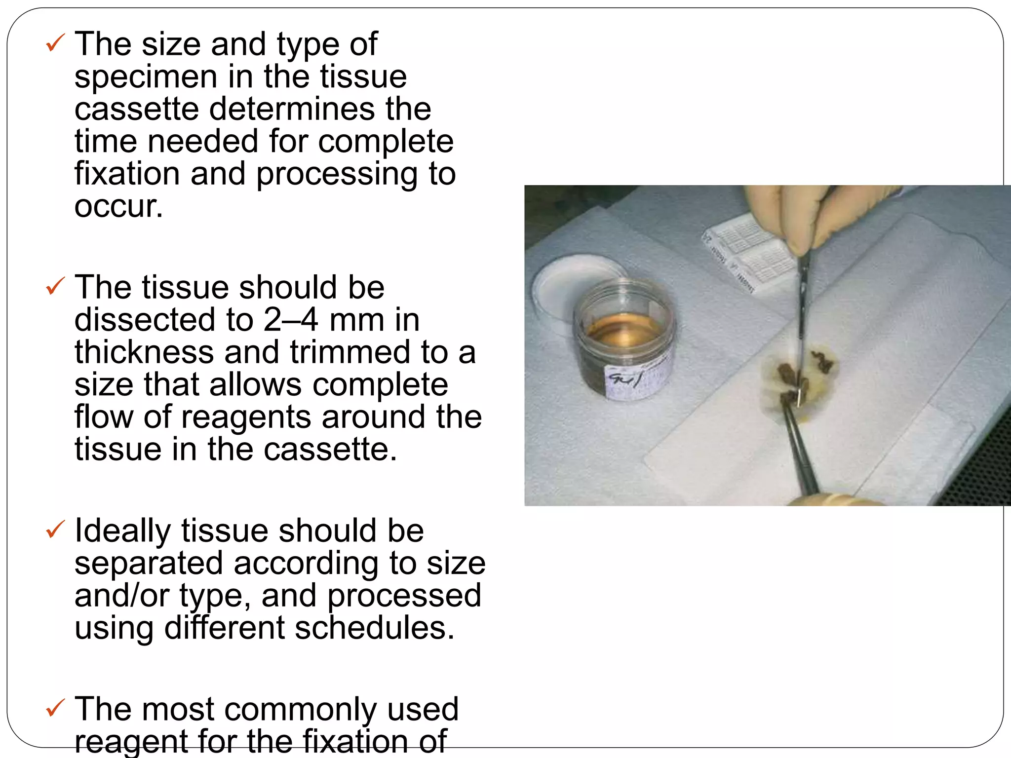 Tissue processing | PPTX