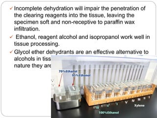 Tissue processing | PPTX