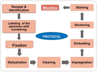 Tissue processing | PPTX