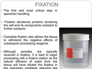 Tissue processing | PPTX