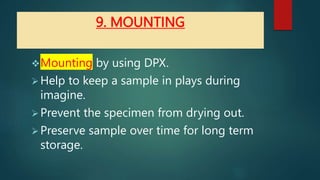 Tissue processing | PPTX