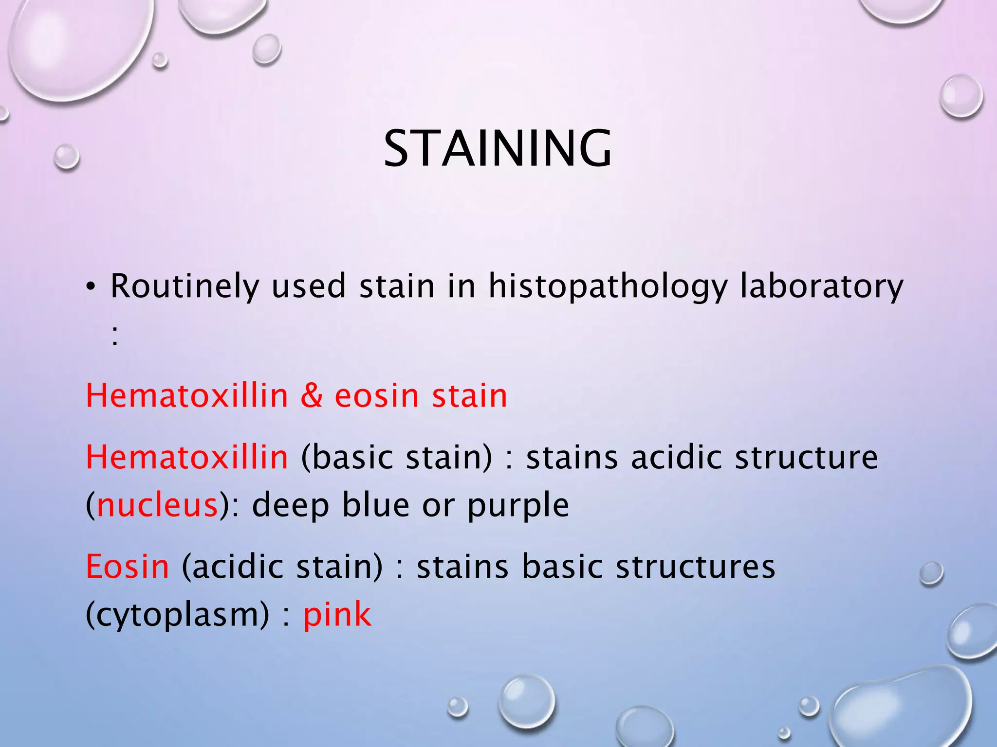 Tissue Processing.pptx
