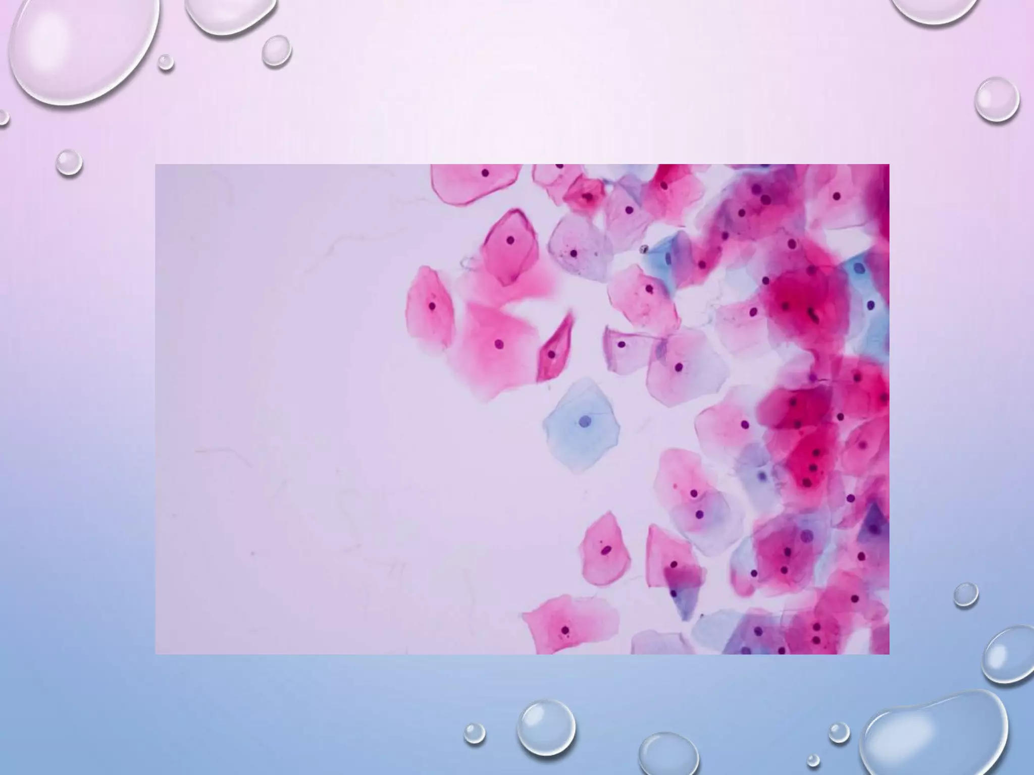 Tissue Processing.pptx