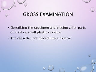 Tissue Processing.pptx