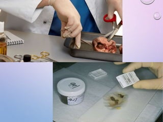 Tissue Processing.pptx