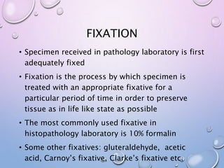 Tissue Processing.pptx