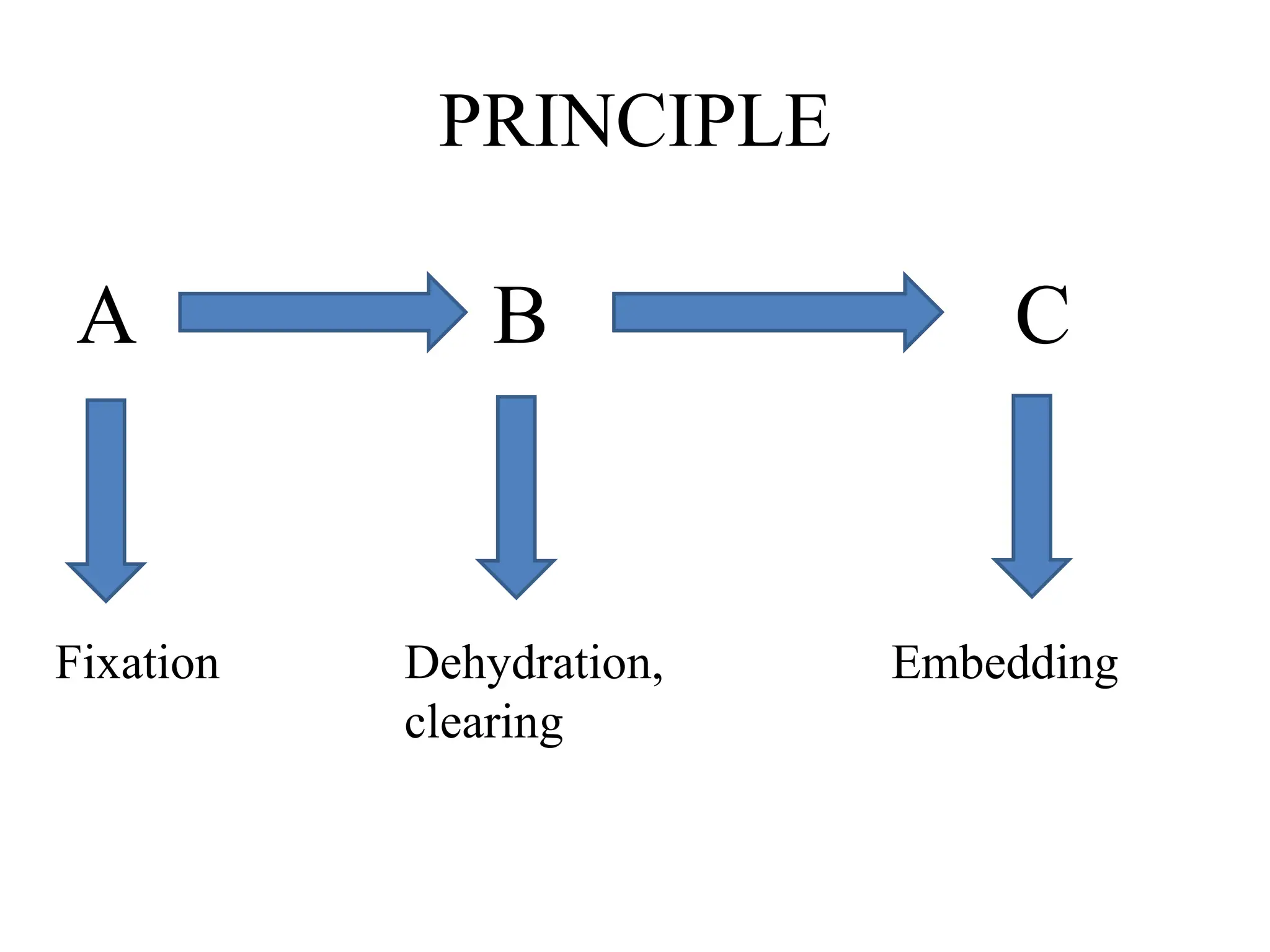 Tissue processing ppt with full explanation | PPTX