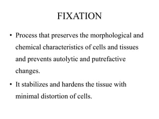 Tissue processing ppt with full explanation | PPTX