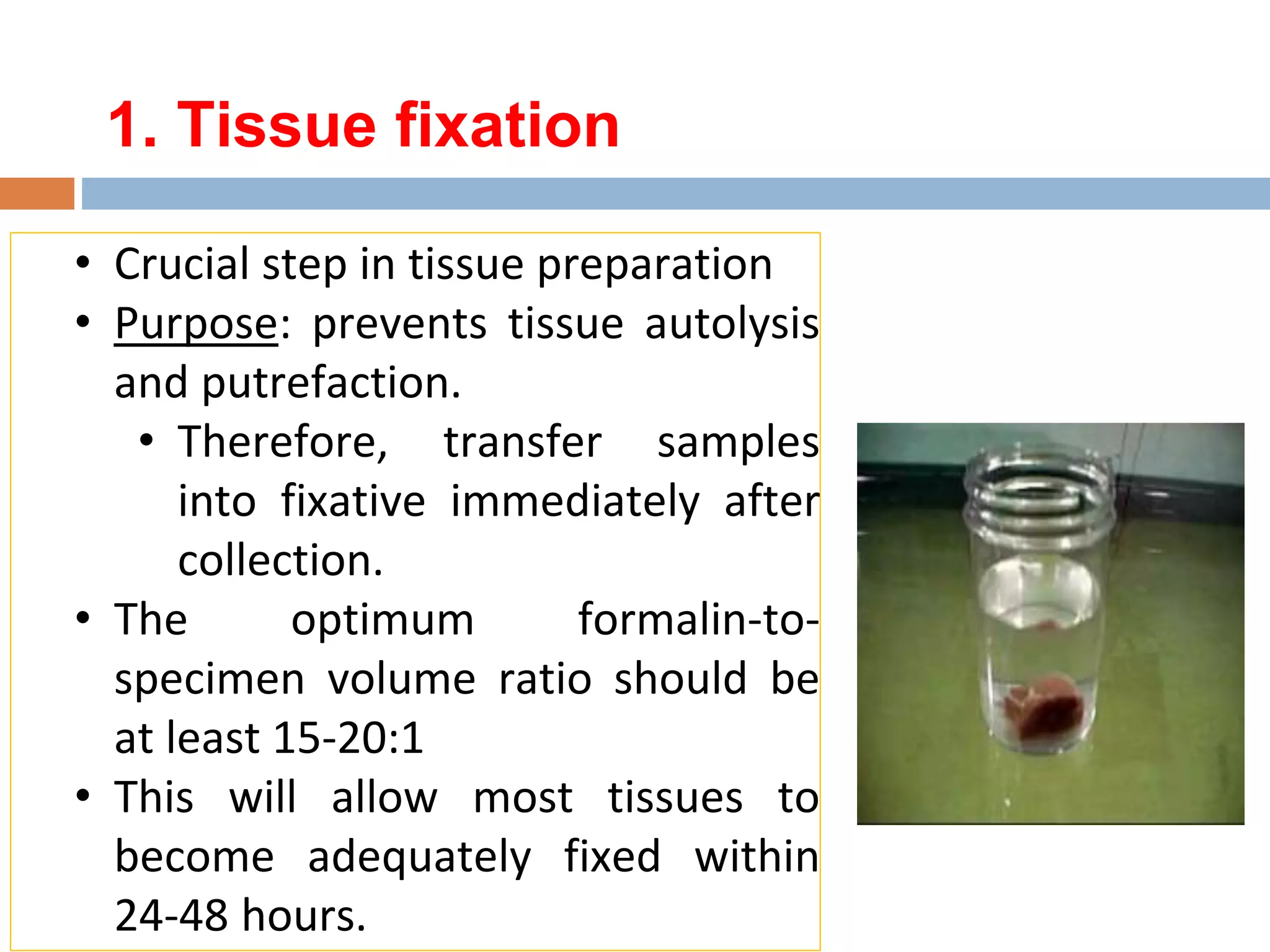 Tissue processing DMLT II 2023.pptx