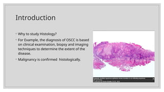 TiSSue Processing – Histology techniqueS (part 1.pptx