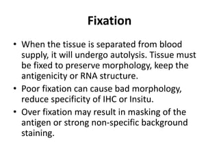 tissue processing in histopathology.ppt