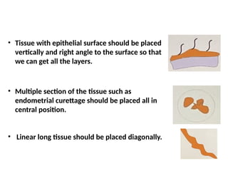Tissue processing in histopathology -4.pptx