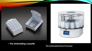 TISSUE PROCESSING IN HISTOPATHOLOGY LABORATORY New.pptx