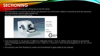 TISSUE PROCESSING IN HISTOPATHOLOGY LABORATORY New.pptx