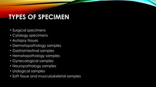 TISSUE PROCESSING IN HISTOPATHOLOGY LABORATORY New.pptx