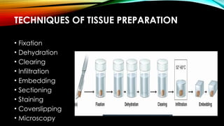 TISSUE PROCESSING IN HISTOPATHOLOGY LABORATORY New.pptx