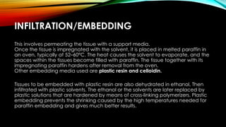TISSUE PROCESSING IN HISTOPATHOLOGY LABORATORY New.pptx