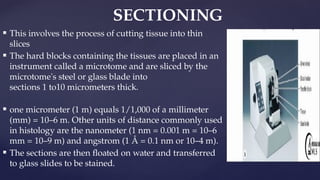 TISSUE PROCESSING IN HISTOPATHOLOGY LABORATORY New.pptx