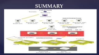 TISSUE PROCESSING IN HISTOPATHOLOGY LABORATORY New.pptx