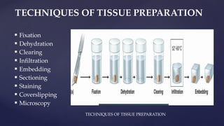 TISSUE PROCESSING IN HISTOPATHOLOGY LABORATORY New.pptx