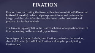 TISSUE PROCESSING IN HISTOPATHOLOGY LABORATORY New.pptx