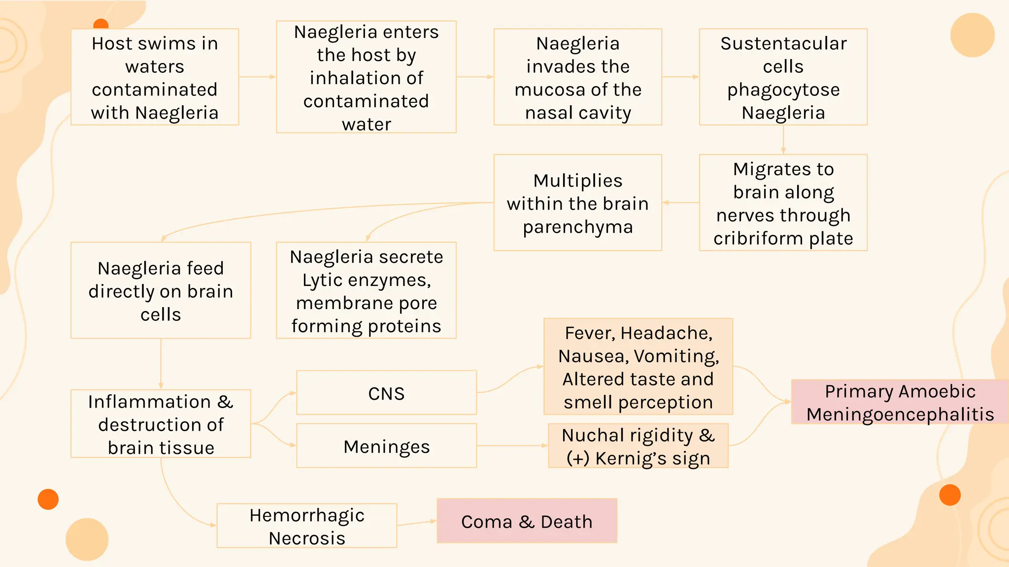 Tissue Protozoa Small group discussion.pdf