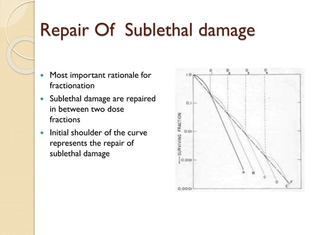 Tissue radiosensitivity | PPTX