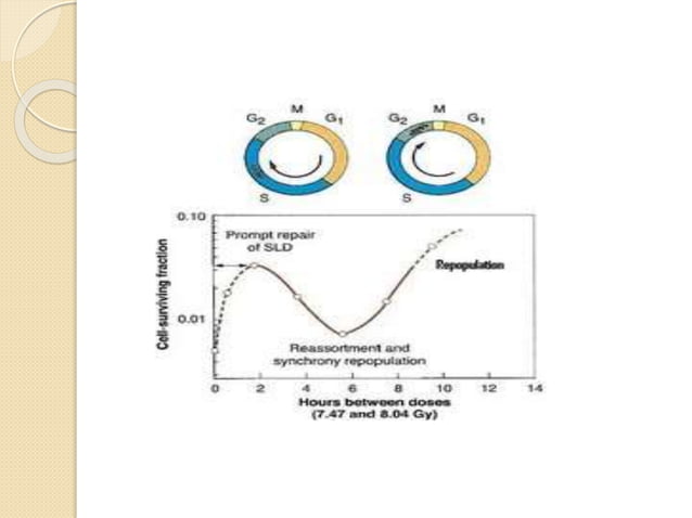 Tissue radiosensitivity | PPTX