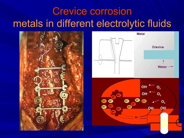 Tissue Reaction | PPT