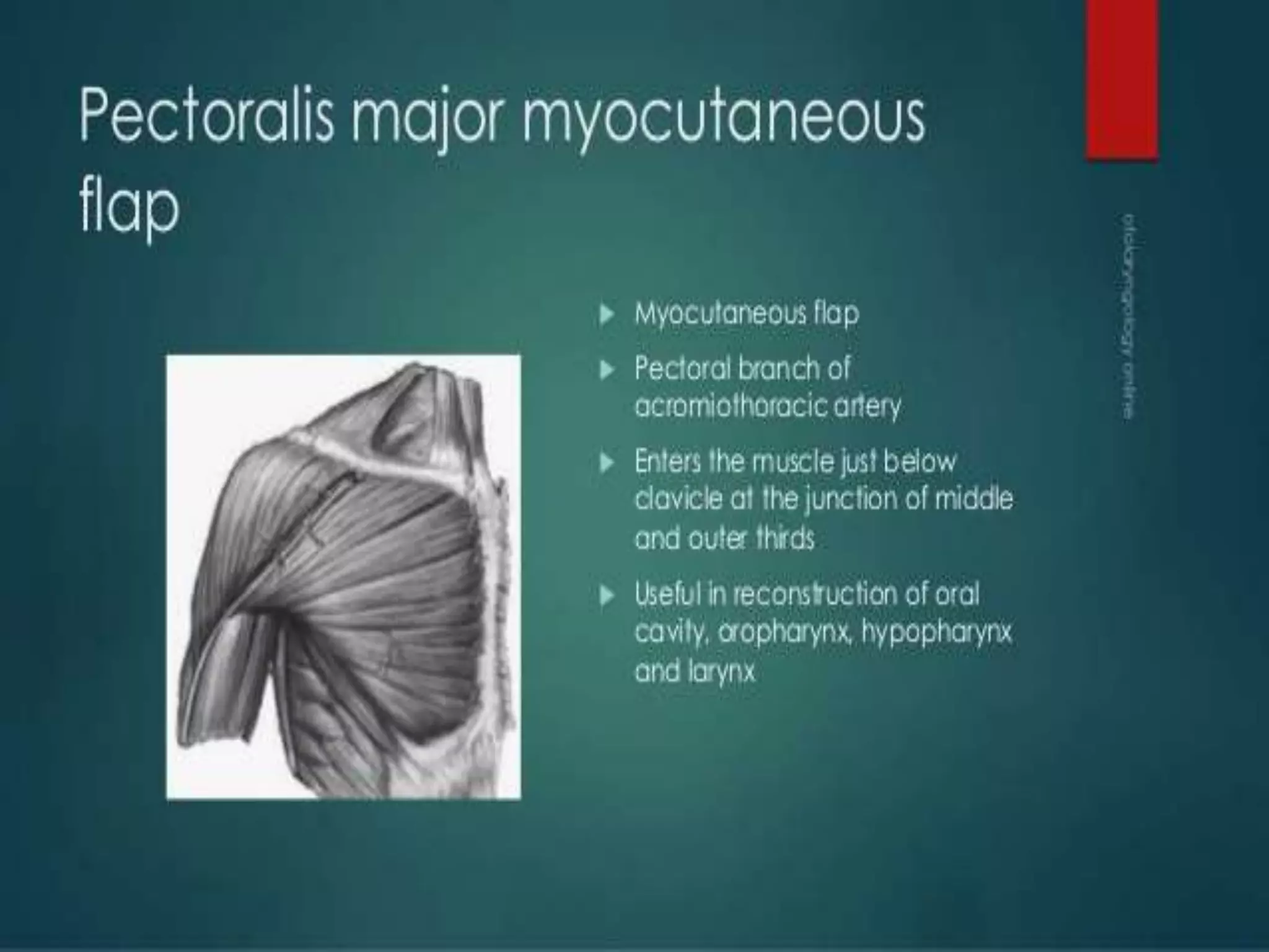 Tissue reconstrction of oral and maxillofacial region | PPTX